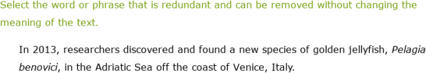 IXL - Remove redundant words or phrases (Grade 9 English practice)